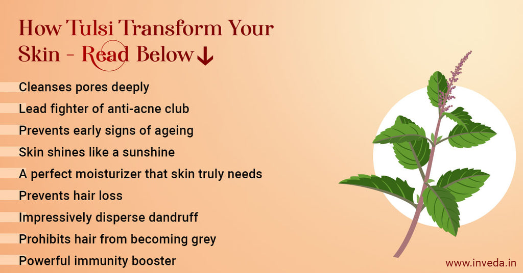Amazing Benefits of Tulsi for Guaranteed Beautiful Results - Inveda
